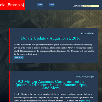 DotaBrackets(Final project)